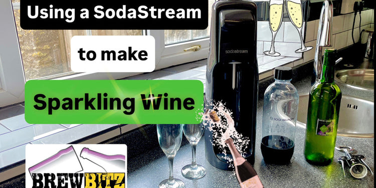 Fizzing Up A Wine With a SodaStream – Brewbitz